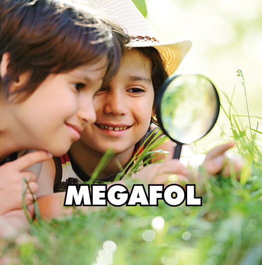 MEGAFOL | Syngenta