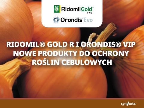 Dobór odmian kukurydzy w Integrowanej Produkcji możliwy zarówno z KR ...