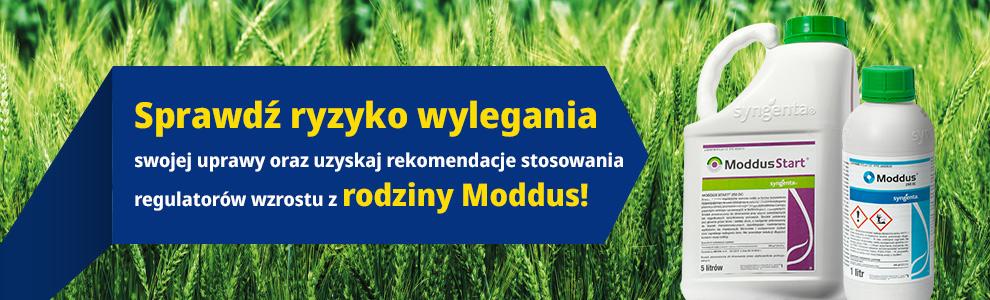 Moddus Start 250 DC | Syngenta