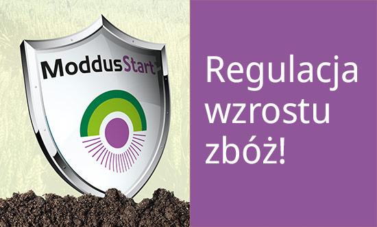 Stop wyleganiu - Porady eksperta | Syngenta