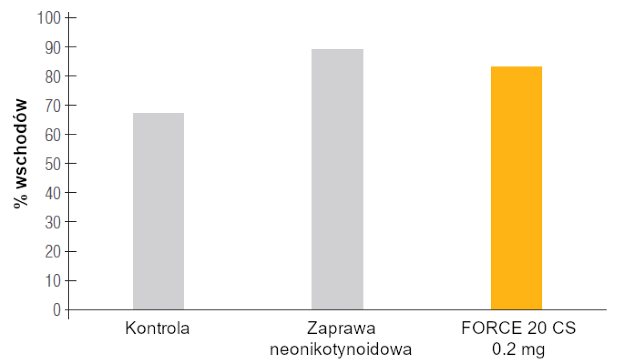 Force® 20 CS — sprawdzona zaprawa na szkodniki | Syngenta