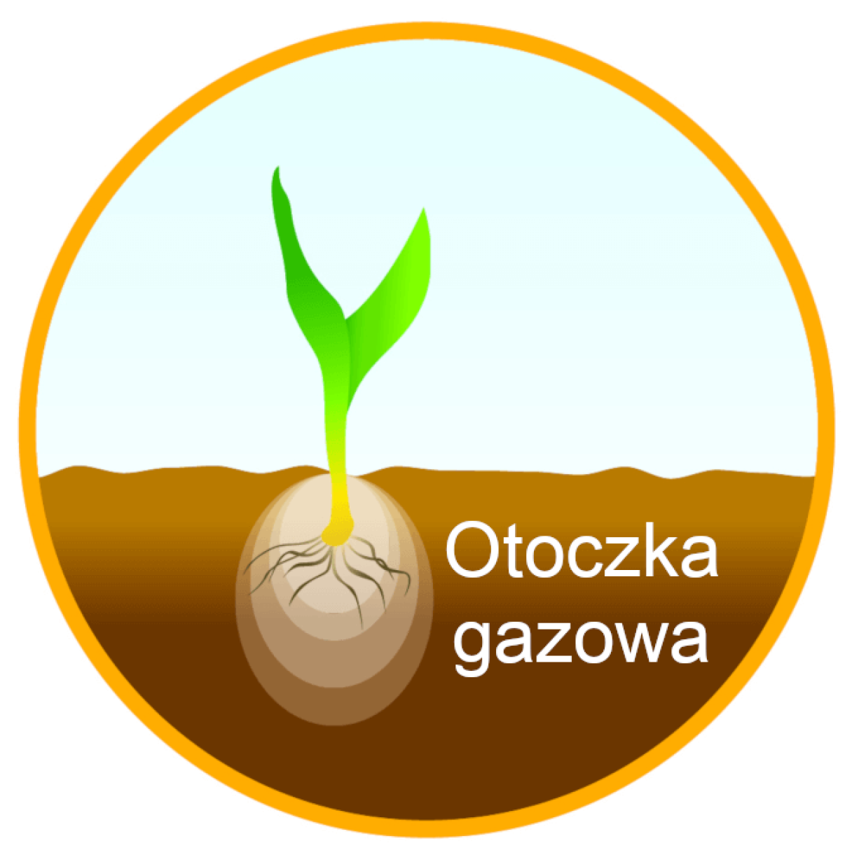 Force® 20 CS — sprawdzona zaprawa na szkodniki | Syngenta