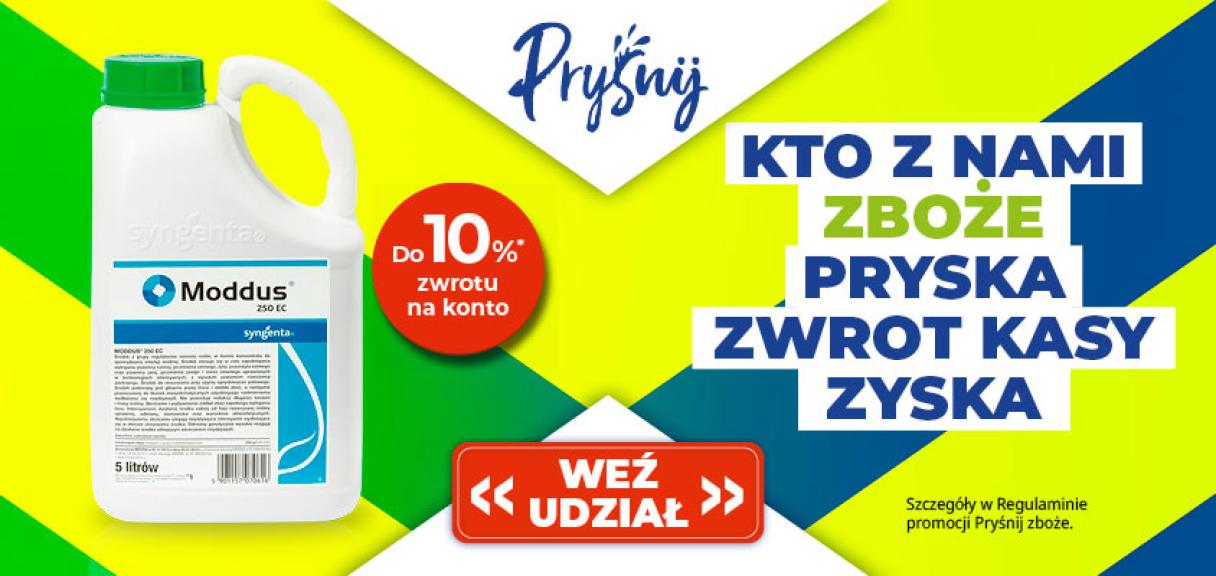 Moddus® 250 EC — wzmacnia korzenie i źdźbło| Syngenta